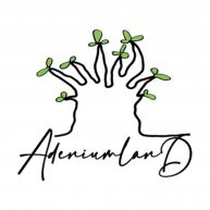 Иконка канала Adeniumland - Интернет-магазин комнатных растений