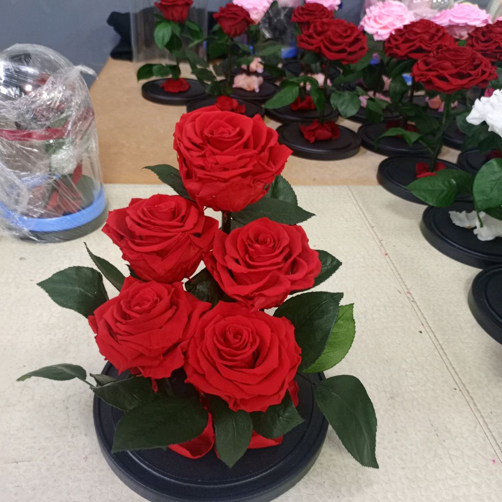 Иконка канала WowRose