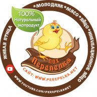 Иконка канала Дмитрий Бочаров