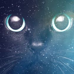 Иконка канала % Рокси %