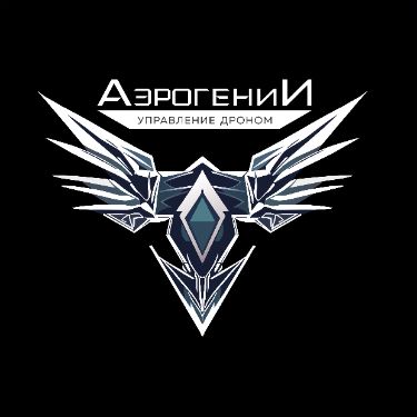 Иконка канала Школа операторов дронов "АэрогениИ" Челябинск