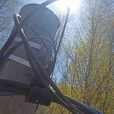 Иконка канала Wolf and Fox