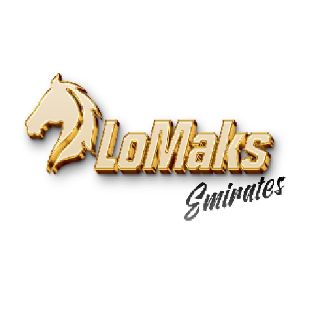 Иконка канала ЛоМакс