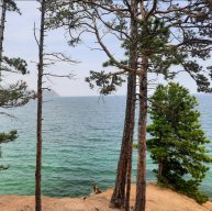 Иконка канала СеЛяВи