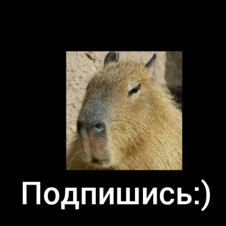 Иконка канала Капибара по играм