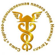 Иконка канала Торгово-промышленная палата Нижний Тагил