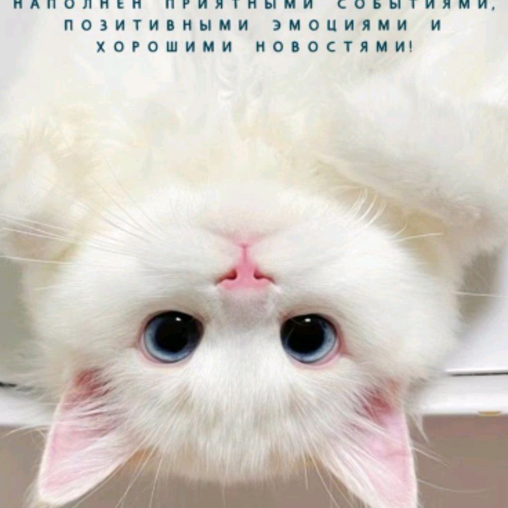 Иконка канала nutricivi