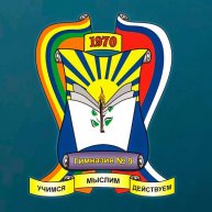 Иконка канала Гимназия № 9. Воронеж