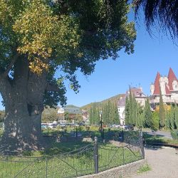 Иконка канала Туристическая компания "Синархия.рф"