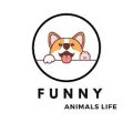 Иконка канала Funny Animals' Life