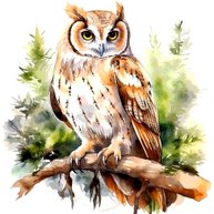 Иконка канала Клуб Мудрая Сова