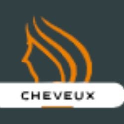 Иконка канала Cheveux.ru