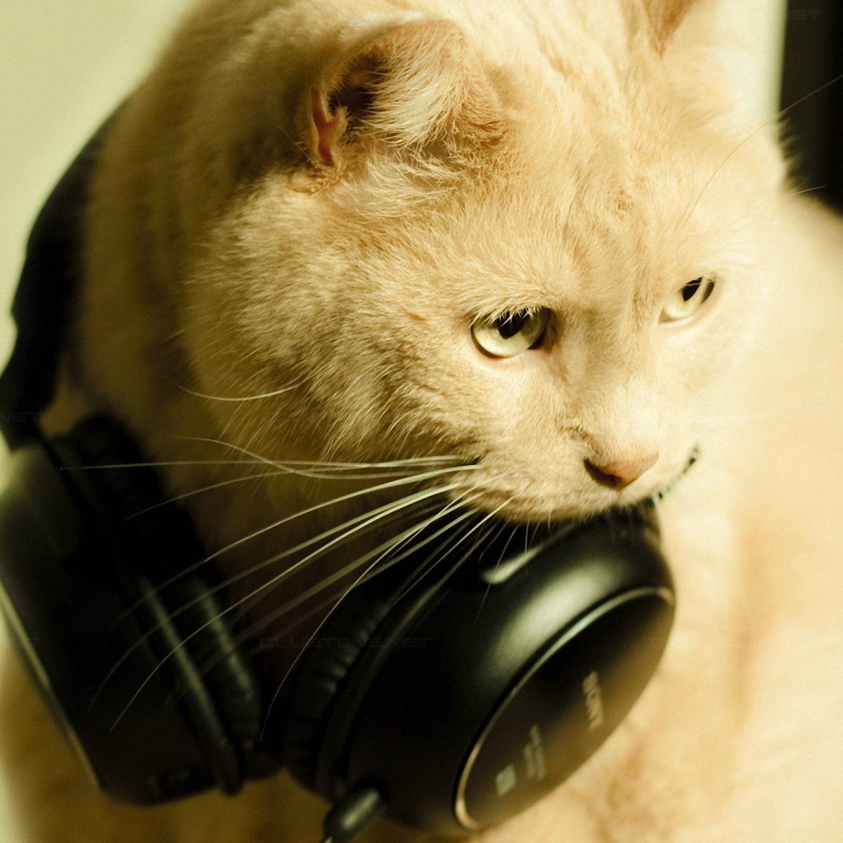 Иконка канала принцеса