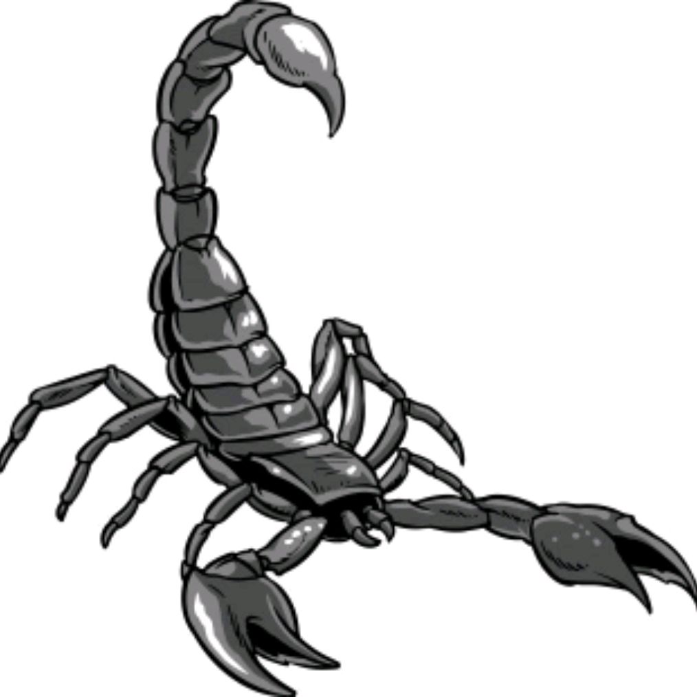 Иконка канала Skorpion