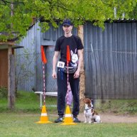 Иконка канала Хвостатый напарник