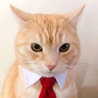 Иконка канала AAYDEV