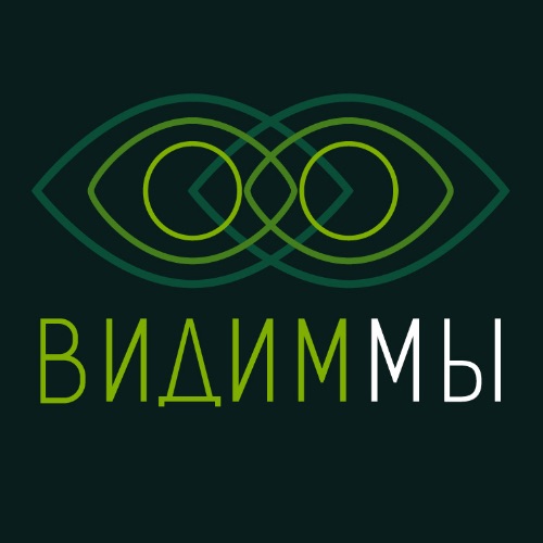 Иконка канала Видим Мы