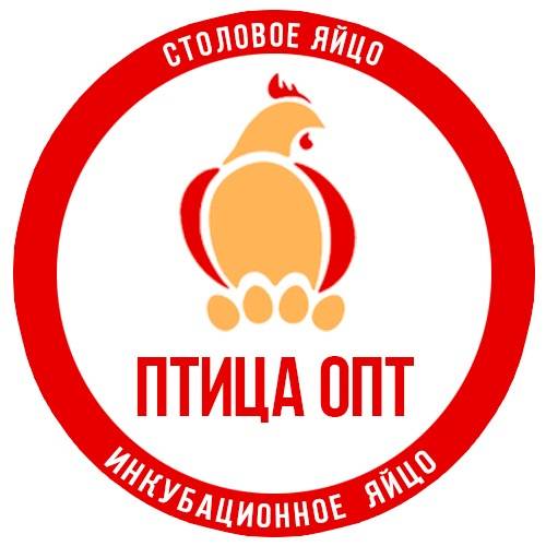 Иконка канала PticaOpt