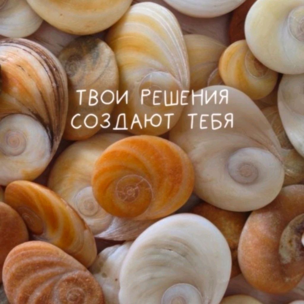 Иконка канала ZU