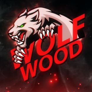 Иконка канала D. Wolfwood [bmd.GG]