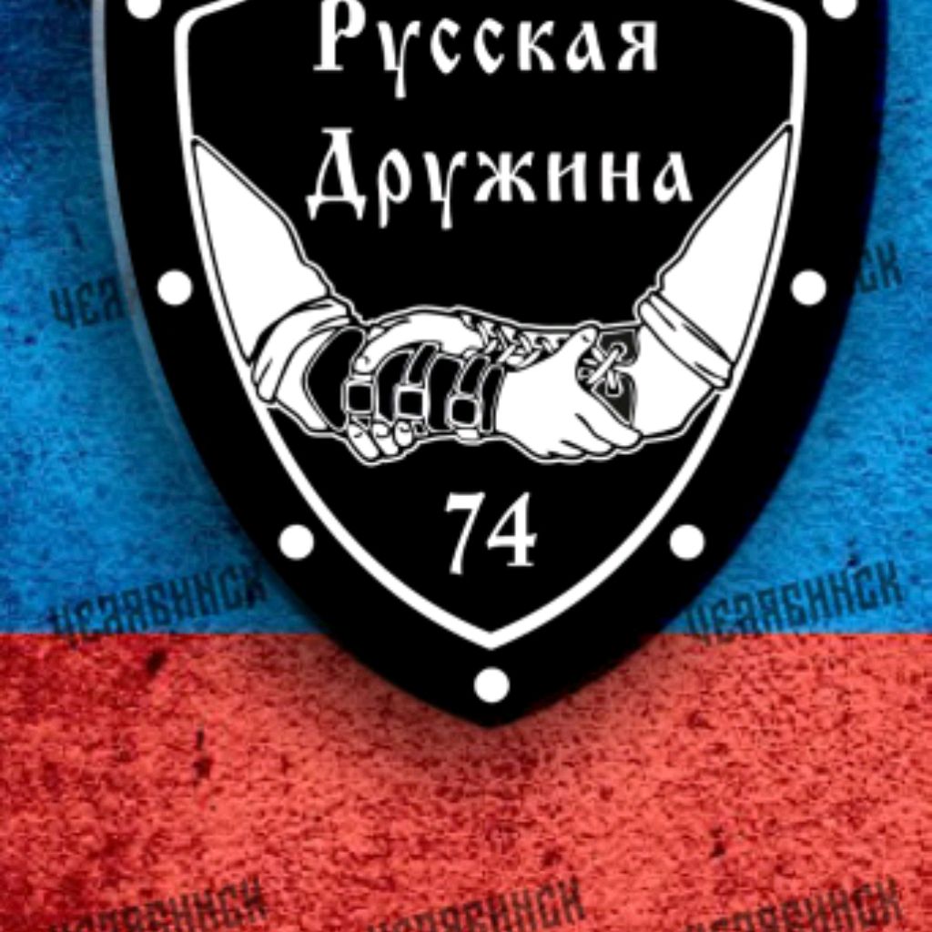 Иконка канала РУССКАЯ ДРУЖИНА