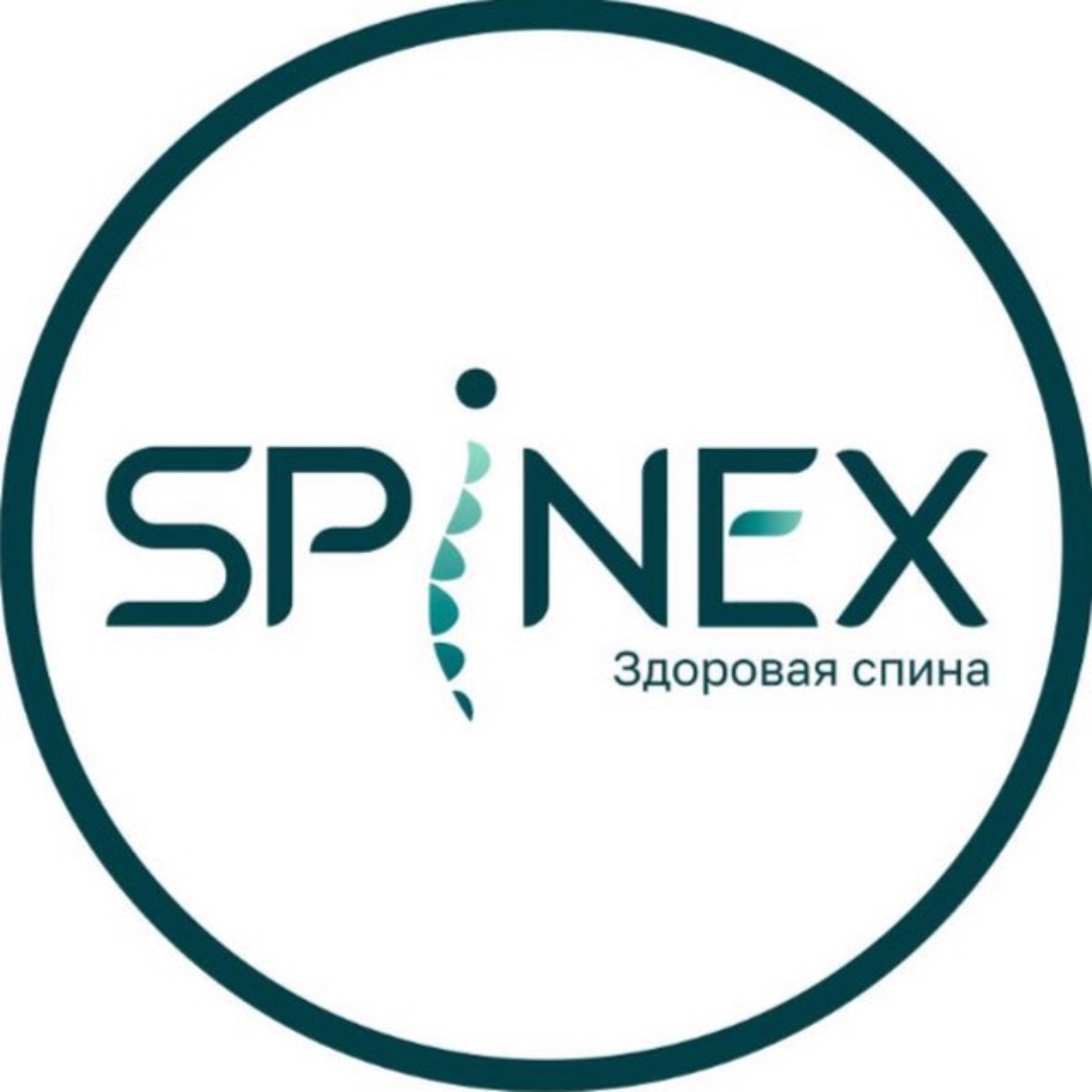 Иконка канала SPINEX_RUSSIA