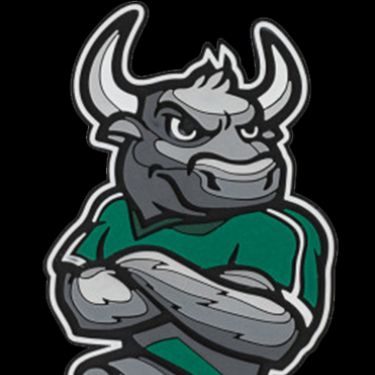 Иконка канала BlackGreenBull