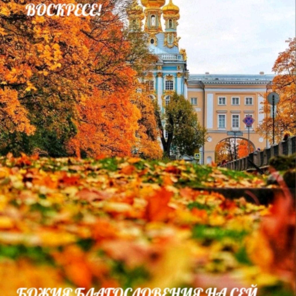 Иконка канала Недвижимость мечты!