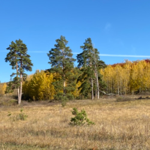 Иконка канала Фермер