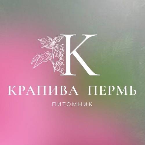 Иконка канала Крапива Пермь