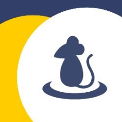 Иконка канала ITMouse: международная школа программирования