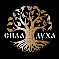 Иконка канала "Сила Духа" Ярославль