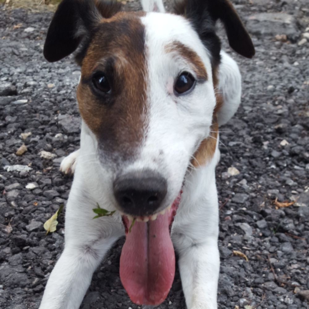 Иконка канала denis3452