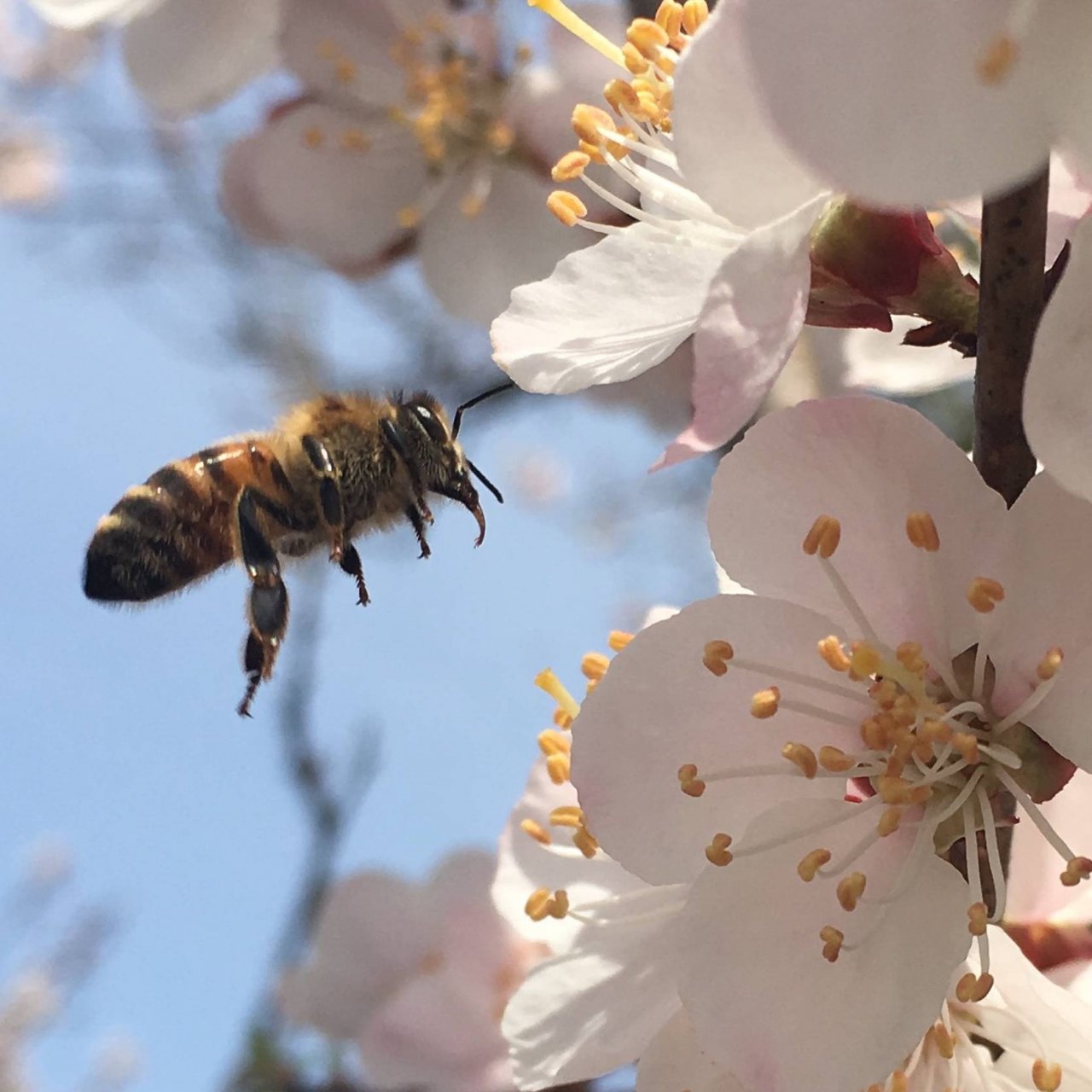 Иконка канала channel48756269