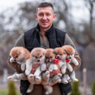 Иконка канала KuranDOGS