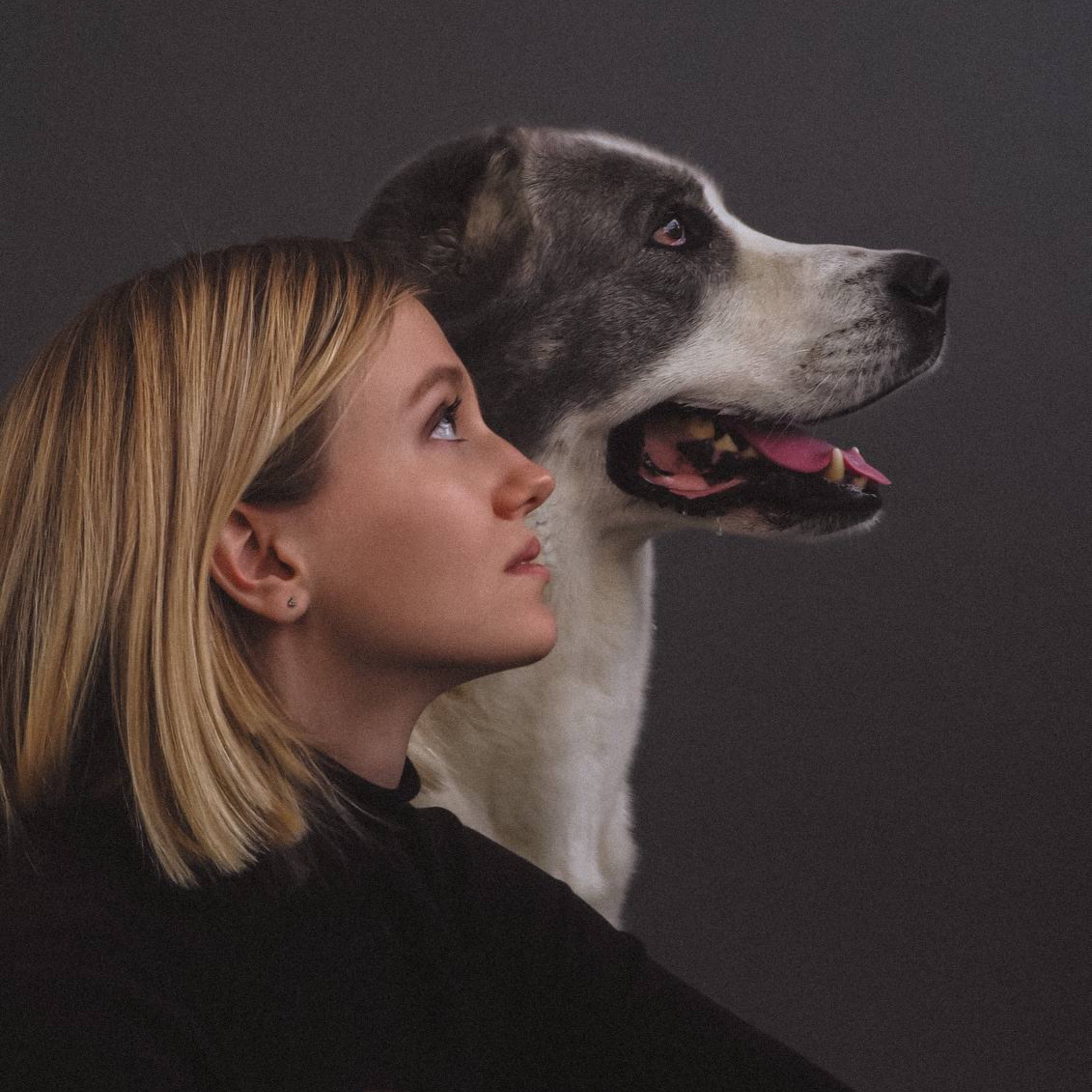 Иконка канала НЕЖНЫЙ КИНОЛОГ Ирина Шарыпова