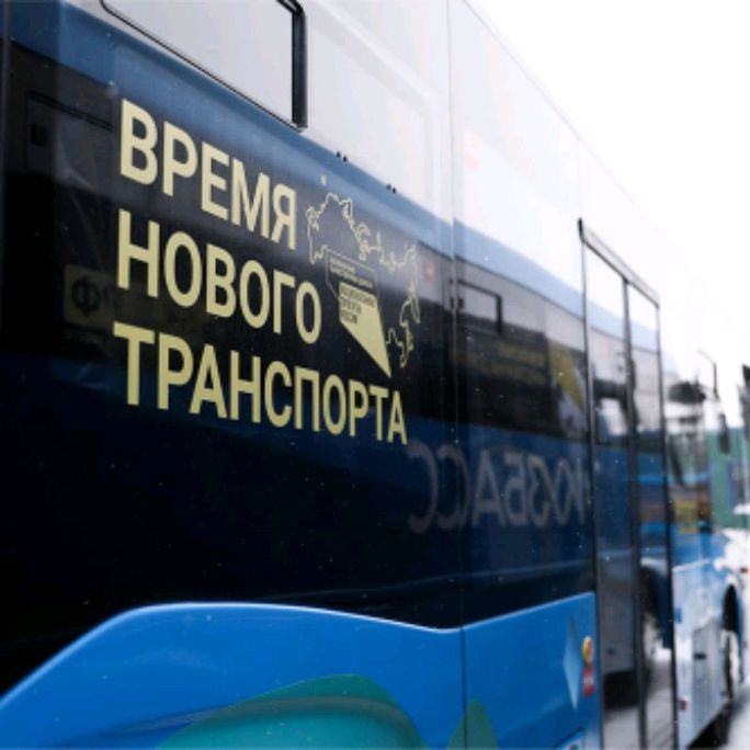 Иконка канала Stepa Автобусы