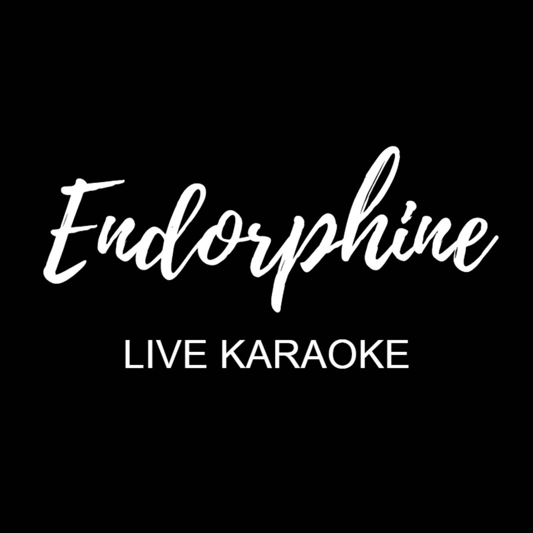 Иконка канала ЭНДОРФИН LIVE-KARAOKE
