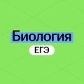 Иконка канала Биология ЕГЭ 2026 Умскул