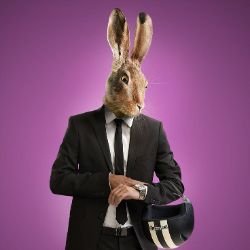 Иконка канала Bunnys House