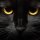 Иконка канала Blackcat 2 rutube