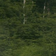 Иконка канала мои будни