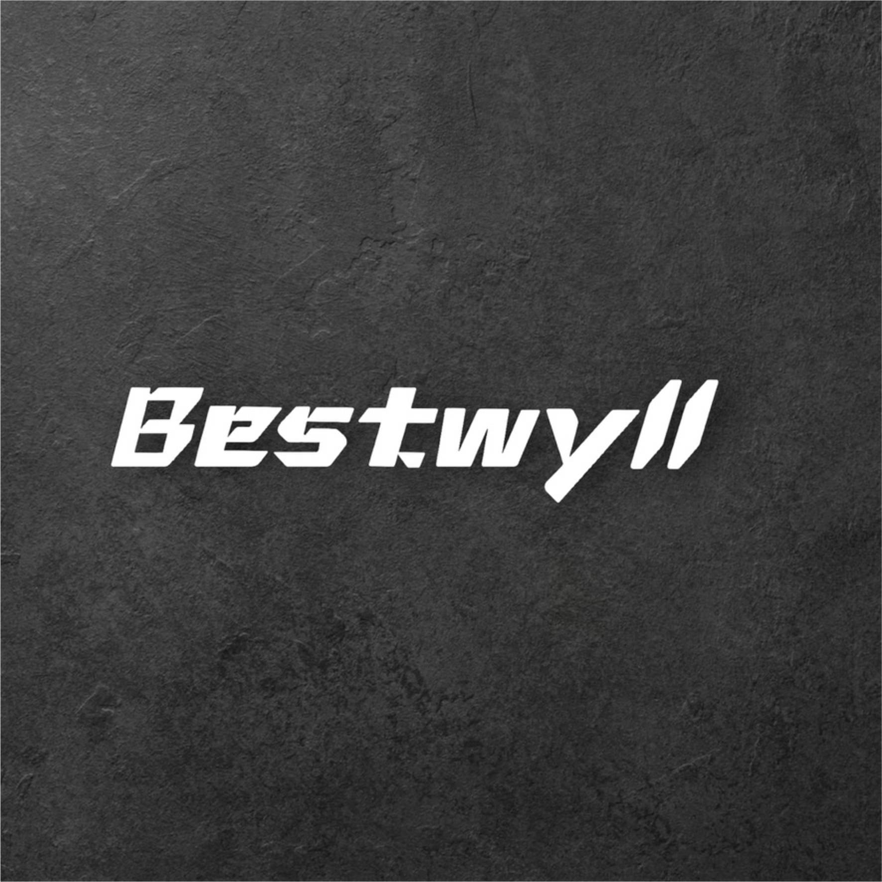 Иконка канала bestwyll