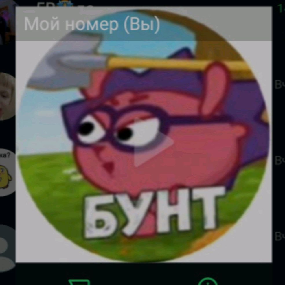 Иконка канала ЕЖИК БУНТ