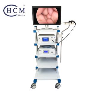 Иконка канала Lana_HCM MEDICA