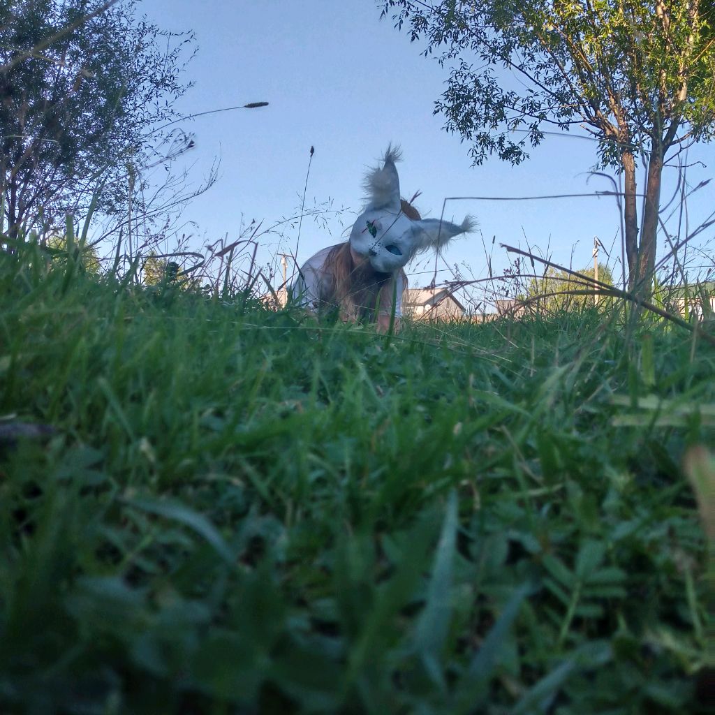 Иконка канала 🦴 Treusi::🐾