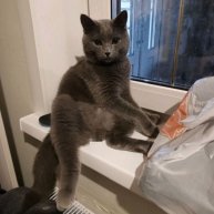 Иконка канала Laik 51@