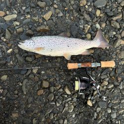 Иконка канала Kavkaz Trout