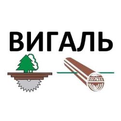 Иконка канала Вигаль