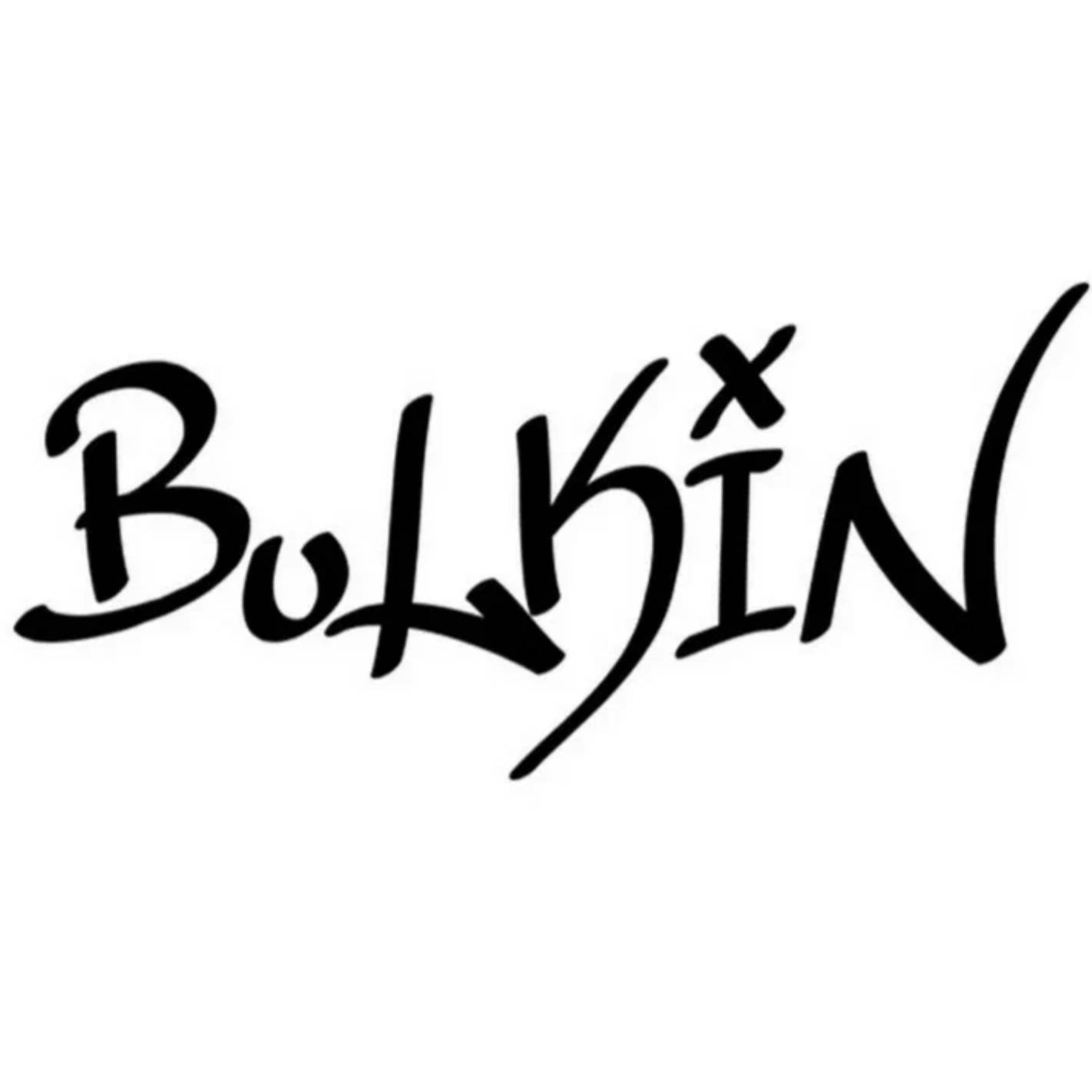 Иконка канала Bulkin